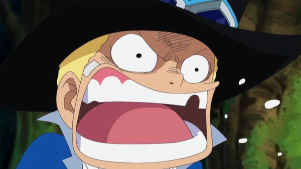 Screenshots of One Piece Episode 494