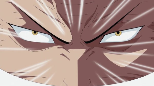 One Piece Episode 462 - Watch One Piece E462 Online