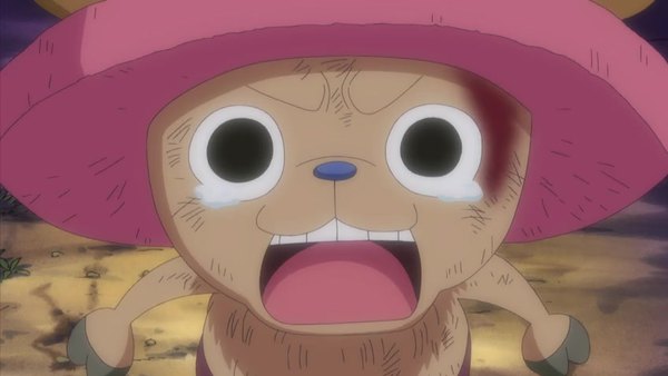 One Piece Episode 419 info and links where to watch