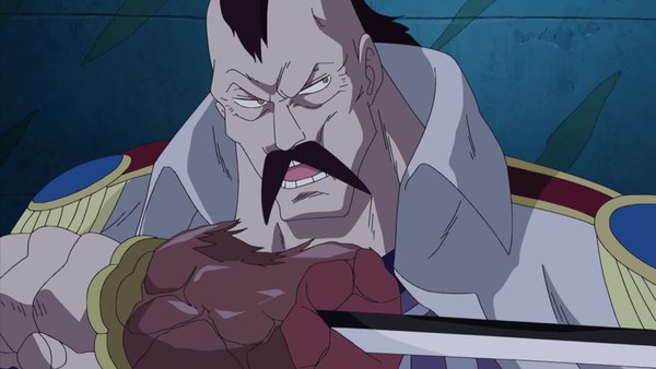 Screenshots of One Piece Episode 417