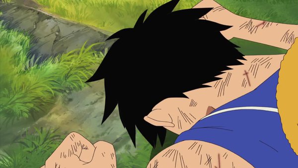 One Piece Episode 405 info and links where to watch