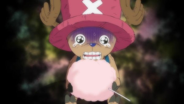 One Piece Episode 392 info and links where to watch