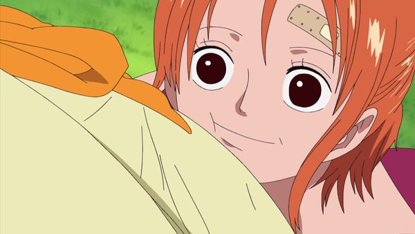 One Piece Episode 378 info and links where to watch