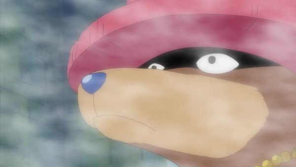 One Piece Episode 341 info and links where to watch