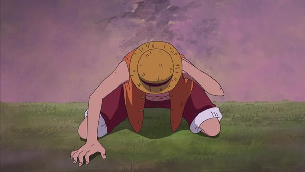 Screenshots of One Piece Episode 339