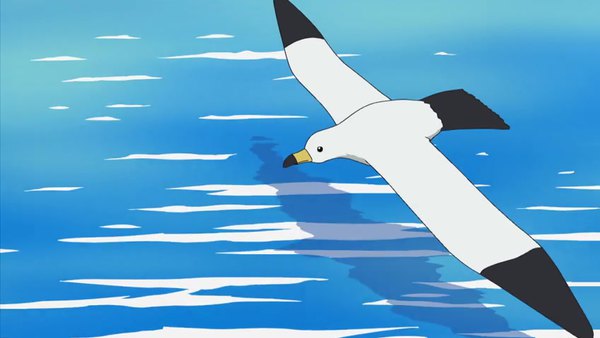 One Piece Episode 313 info and links where to watch