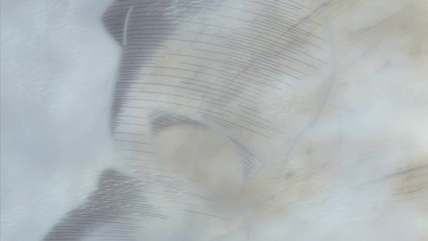 One Piece Episode 312 info and links where to watch