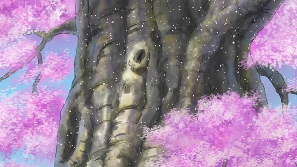 One Piece Episode 303 info and links where to watch