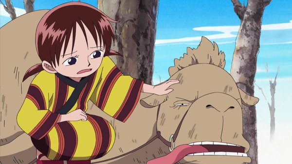 One Piece Episode 291 info and links where to watch