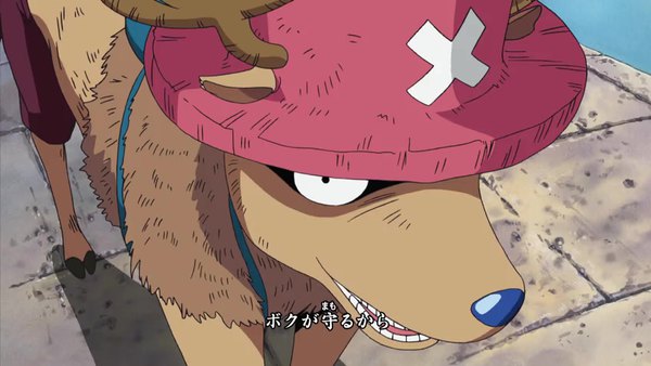 Screenshots of One Piece Episode 262