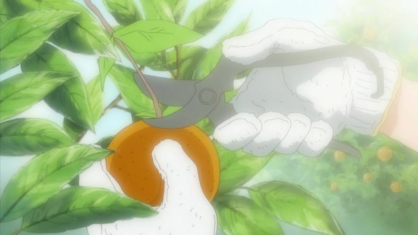 One Piece Episode 220 info and links where to watch