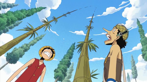 Screenshots of One Piece Episode 207