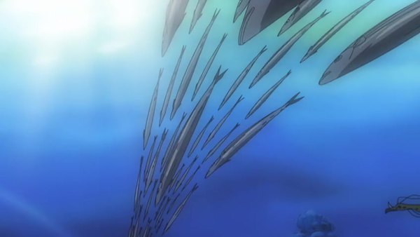 One Piece Episode 147 info and links where to watch