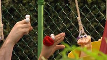 Oobi episodes (TV Series 2003 - 2006)