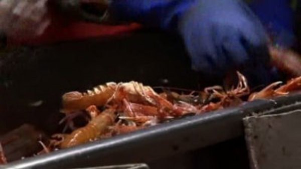 Trawlermen Season 2 Episode 1