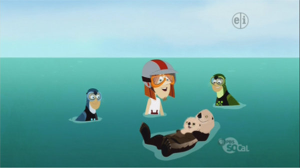 Wild Kratts Season 4 Episode 14