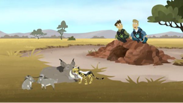 Wild Kratts Season 4 Episode 25