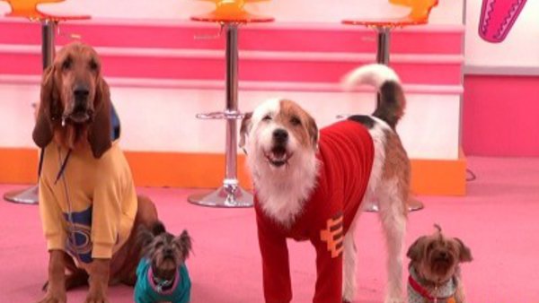 The Fresh Beat Band Season 1 Episode 3