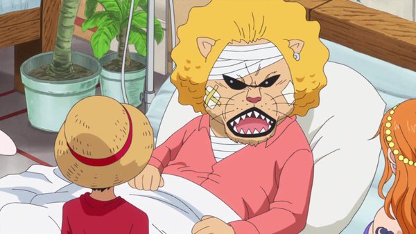 One Piece Episode 766 info and links where to watch