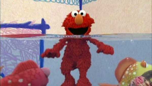 Elmo's World Season 4 Episode 1