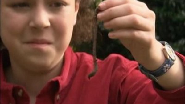 The Story of Tracy Beaker Season 1 Episode 2