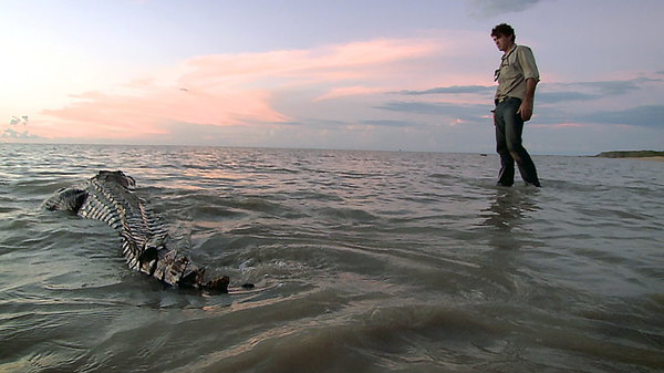 Outback Wrangler Season 1 Episode 4