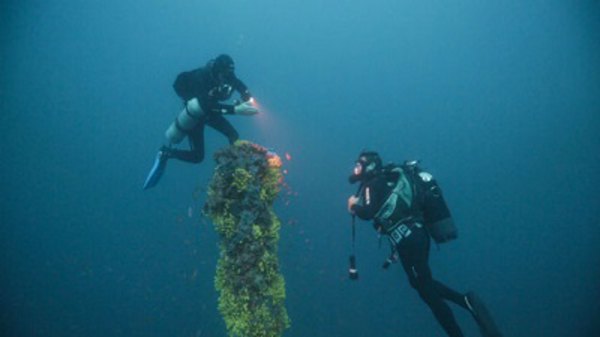 Ocean Treks with Jeff Corwin Season 1 Episode 13