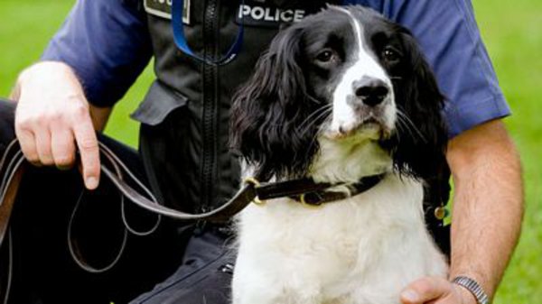 The Bionic Vet Season 1 Episode 4