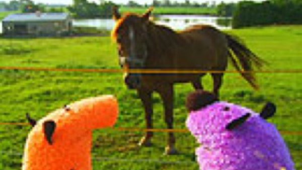 Curious Buddies Season 1 Episode 4