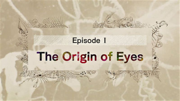 Leaps in Evolution Season 1 Episode 1