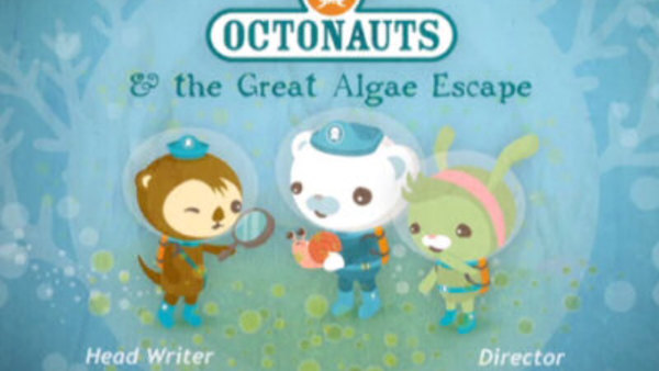 Octonauts Episode 8 info and links where to watch