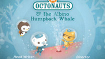 Octonauts episodes (TV Series 2010 - Now)