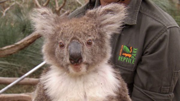 Outback Adventures With Tim Faulkner Season 2 Episode 25