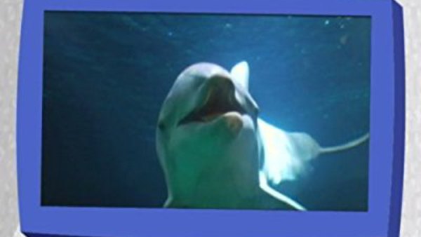 FETCH! with Ruff Ruffman Season 2 Episode 8