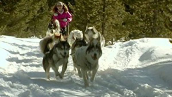 FETCH! with Ruff Ruffman Season 2 Episode 12