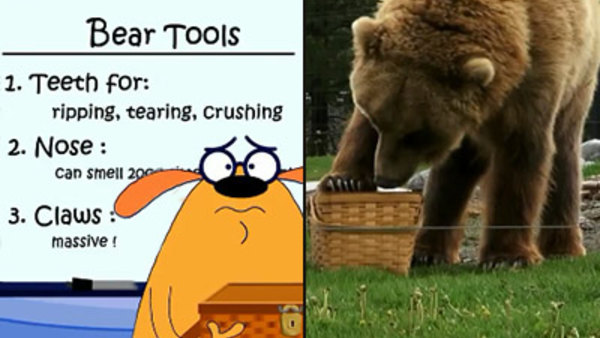 FETCH! with Ruff Ruffman Season 5 Episode 8