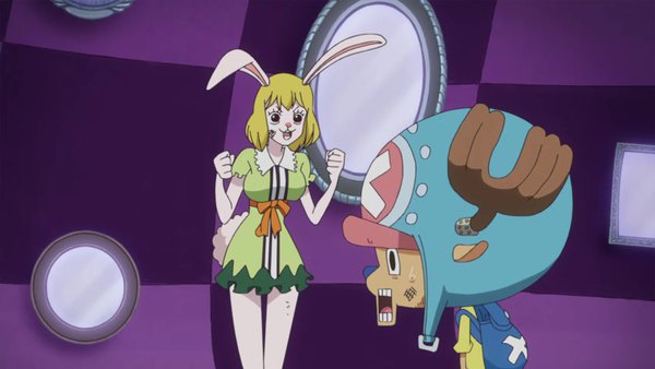 One Piece Episode 800 info and links where to watch