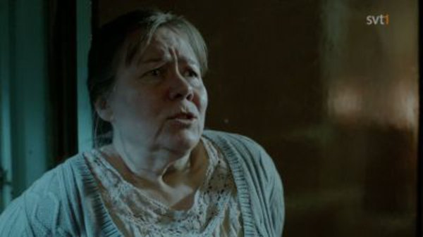 Real Humans Season 1 Episode 1 Recap