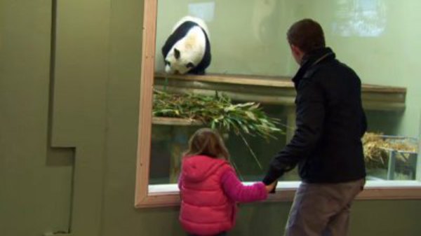 Woolly and Tig Season 2 Episode 3