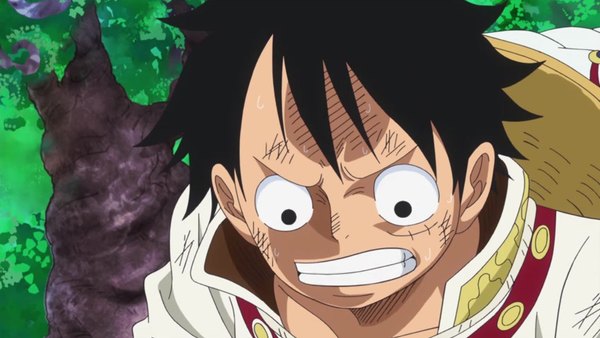 One Piece Episode 805 info and links where to watch