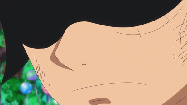 One Piece Episode 805 info and links where to watch