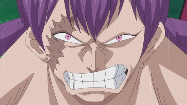 One Piece Episode 805 info and links where to watch