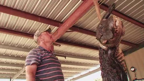 Swamp People Season 1 Episode 1