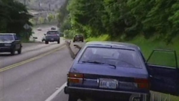 Cops Season 4 Episode 41