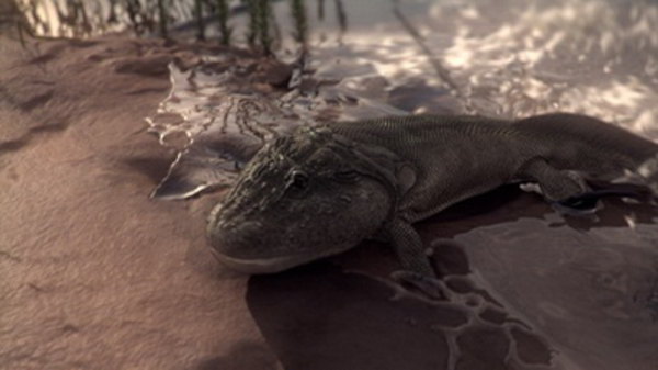 David Attenborough's Rise of Animals: Triumph of the Vertebrates Season ...