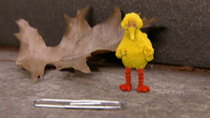 Sesame Street episodes (TV Series 1969 - Now)