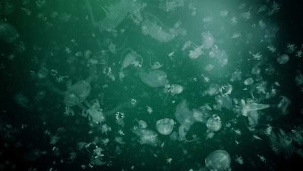 Round Planet Season 1 Episode 3