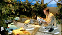 Space Island One Season 1 Episode 1