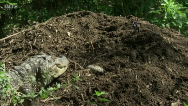 Andy's Wild Adventures Season 1 Episode 13