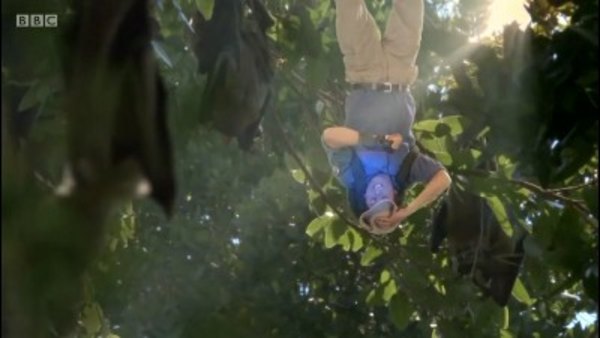Andy's Wild Adventures Season 1 Episode 12